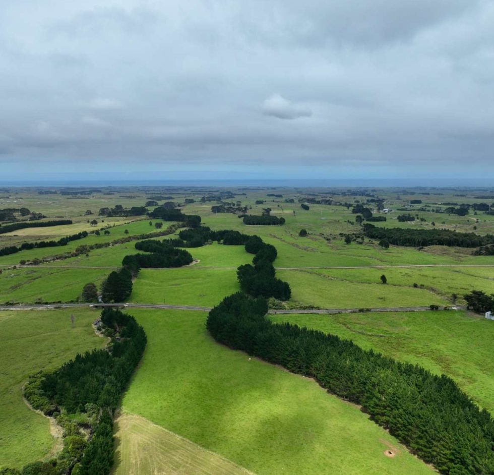 Rock Farm | Mills Albert Rock Farm | Taranaki